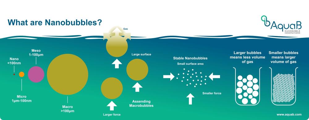 Nanobubbles 101 audio course launched to accelerate understanding of ...